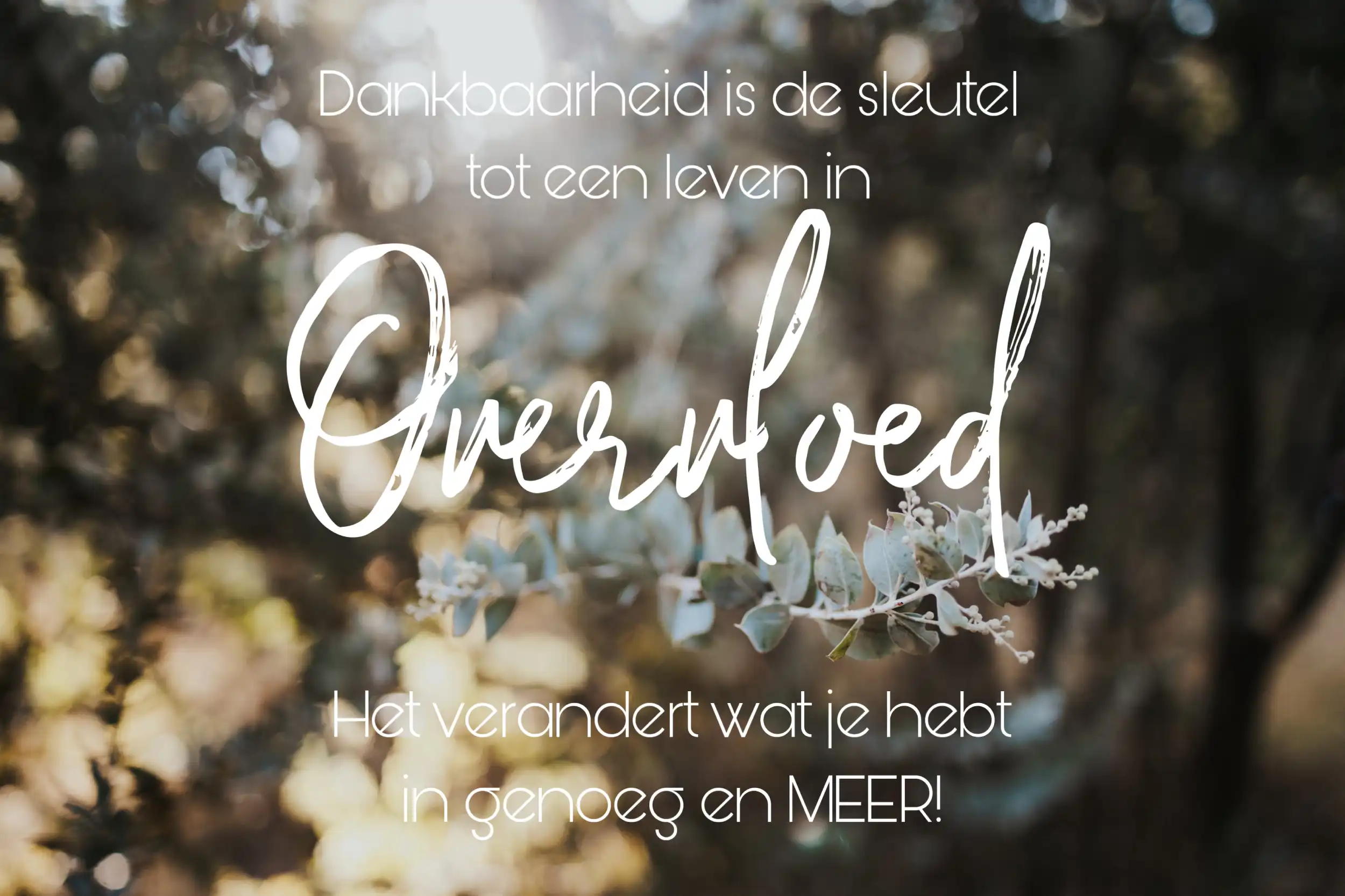 Overvloed - Reconnect BMR